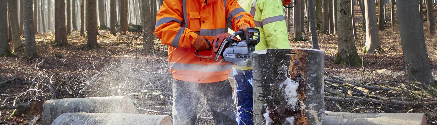Profesionales preparados – Gestionemos los bosques Profesionales preparados – Gestionemos los bosques